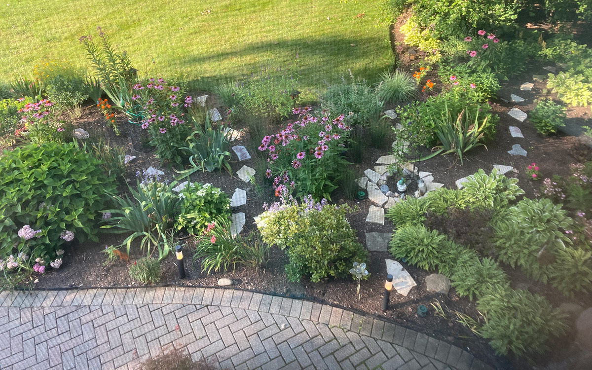 Update on a Front Yard Pollinator Garden in Illinois - Fine Gardening