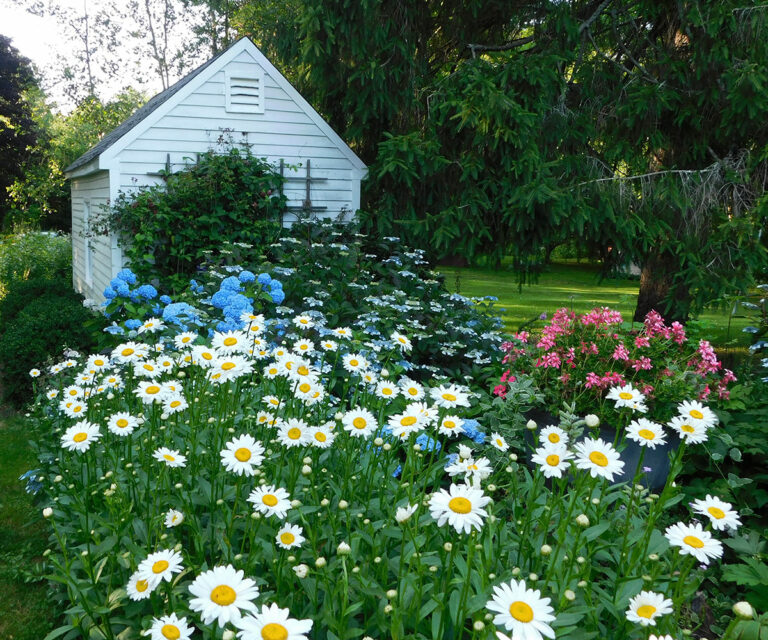Peak Season in Heidi's Connecticut Garden - Fine Gardening
