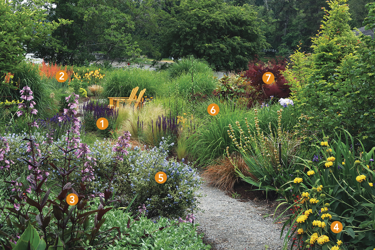 How to Use Ornamental Grasses in the Garden - Fine Gardening