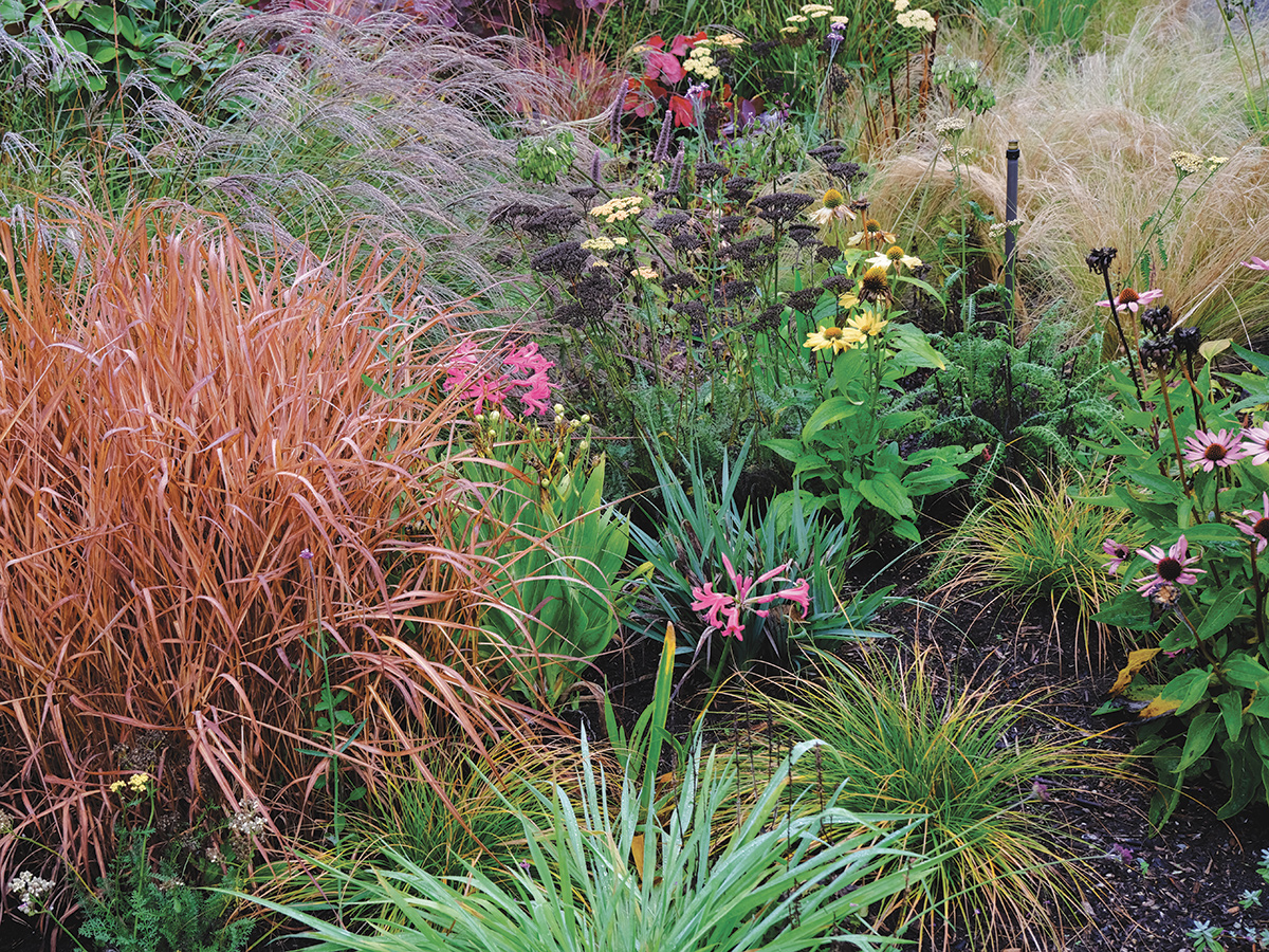 How to Use Ornamental Grasses in the Garden - Fine Gardening