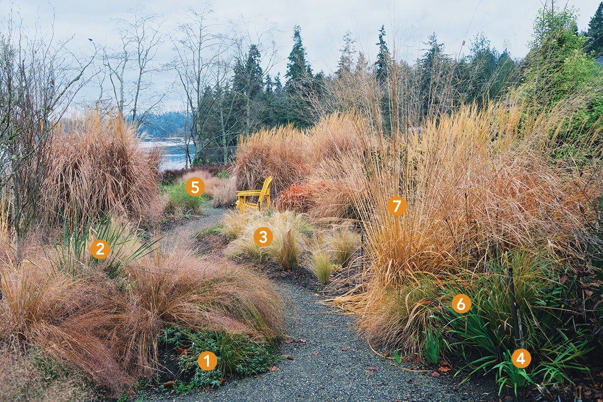 How to Use Ornamental Grasses in the Garden - Fine Gardening