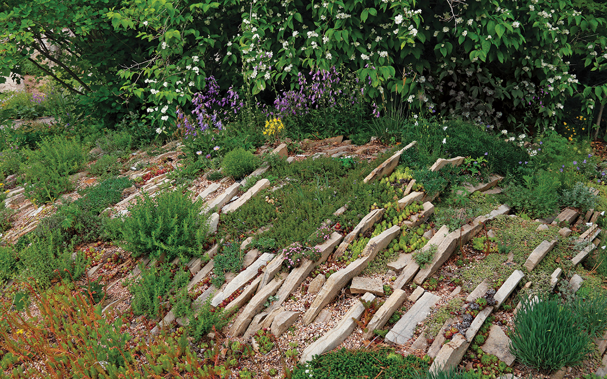 Building a Rock Garden 101 - Fine Gardening