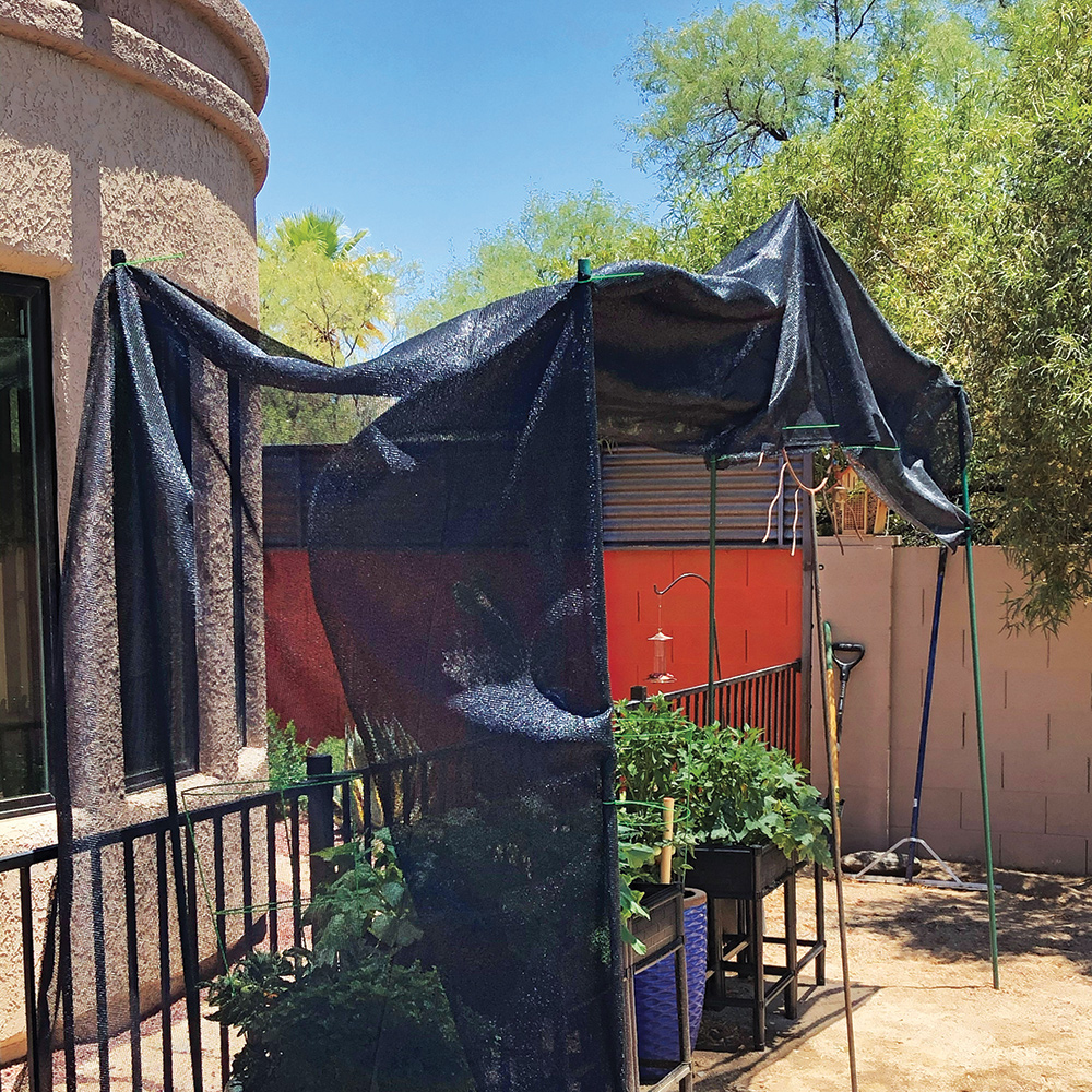 Tips for Keeping Plants Alive Through a Heat Wave - Fine Gardening