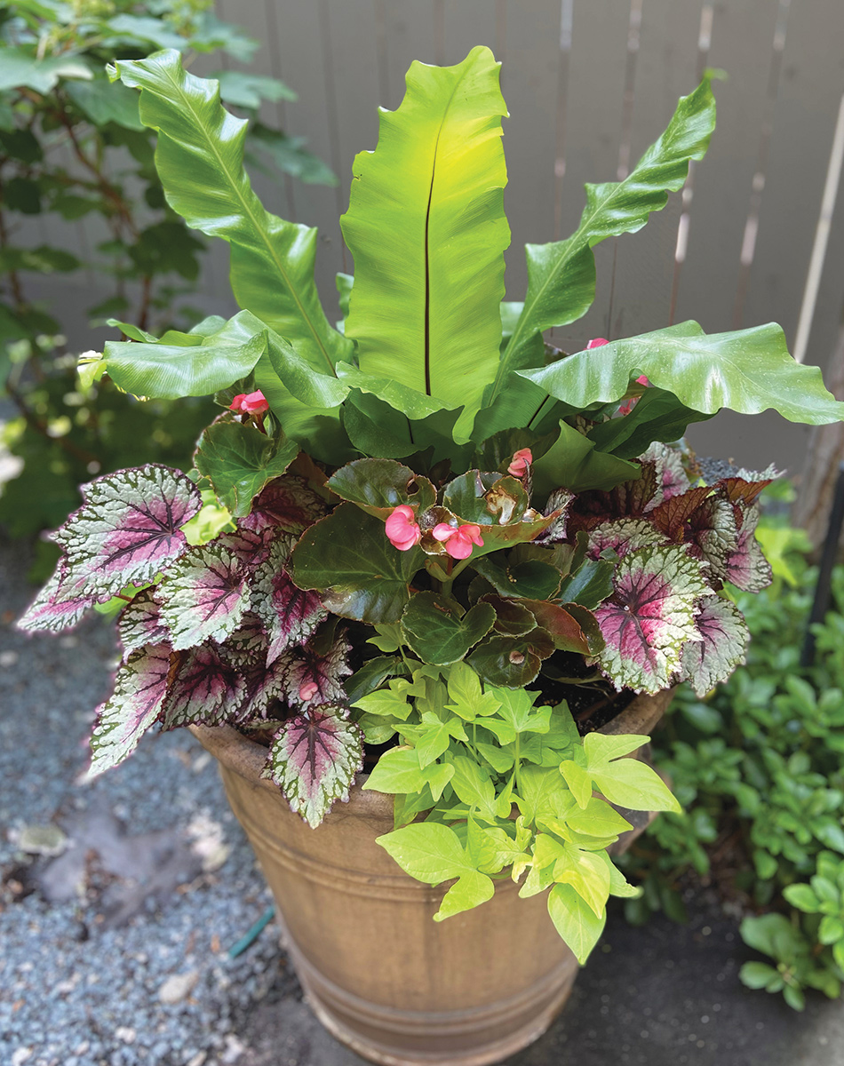 Accessorizing the Landscape with Seasonal Containers - Fine Gardening