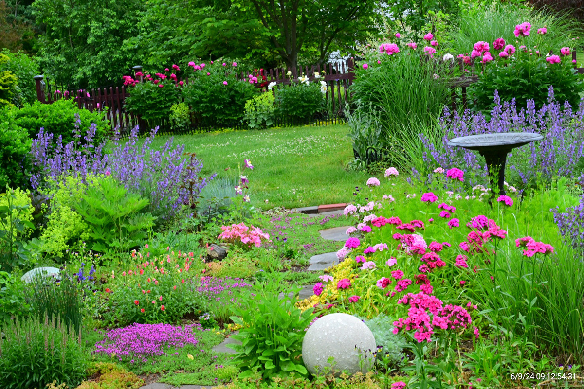 Tingshu's Low Maintenance Garden in Massachusetts - Fine Gardening
