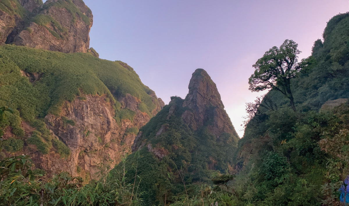 Episode 164: The Joys of Plant Exploration with Mark Weathington - Fine ...