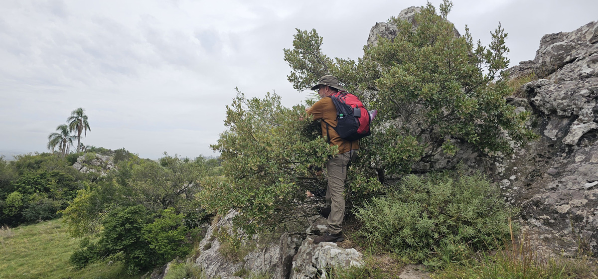 Episode 164: The Joys of Plant Exploration with Mark Weathington - Fine ...