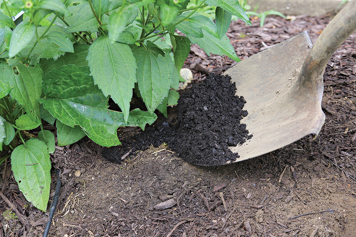 How to Use Compost in the Garden to Combat Intense Heat and Drought ...