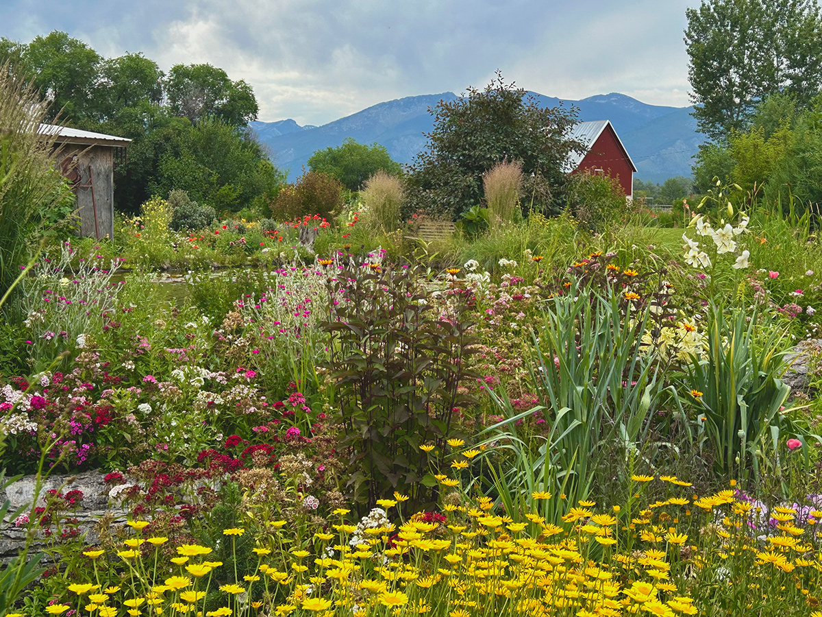 Bitterroot Secret Garden Tour: A Nurseryman’s Expansive Garden - Fine ...