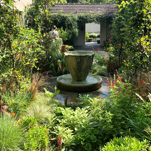 Fine Gardening - Expert garden plant advice, tips, and ideas from Fine ...