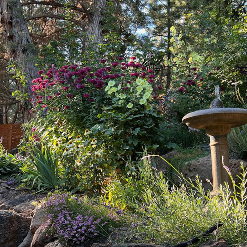 Karen's Oregon Garden Through the Seasons - Fine Gardening