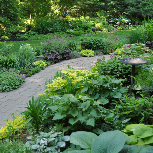 A season in one border in Daniela's Ohio garden - Fine Gardening