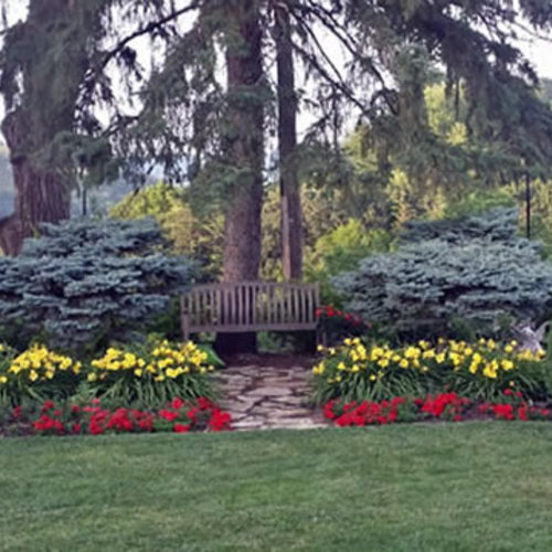Stunning in Red Wing - Fine Gardening