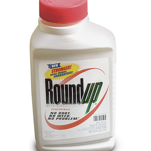 Is Roundup Right for You? - Fine Gardening