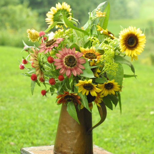 Great Plants for a Fall Cutting Garden - Fine Gardening