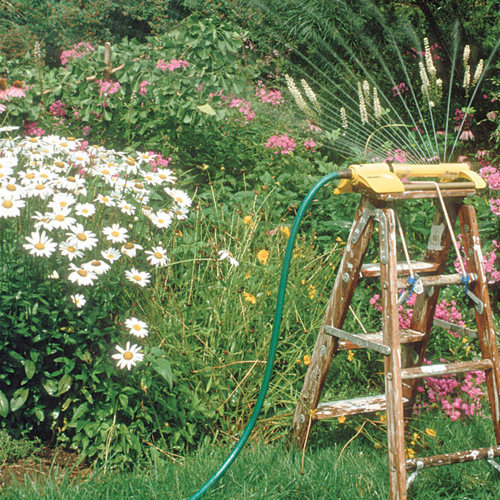 Learn to Water Well - FineGardening