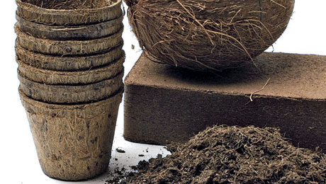 Choosing the Right Soilless Mix - FineGardening