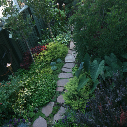 Plant IDs: A Dynamic Design for a Garden Passageway - Fine Gardening