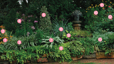 Design a Border With Strong Plant Shapes - FineGardening