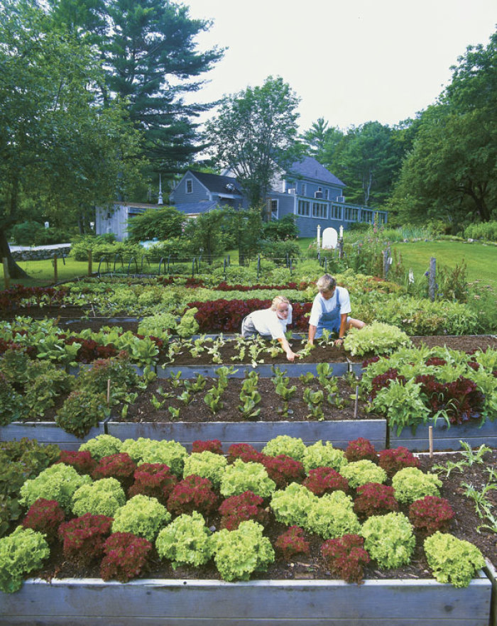 Lessons from a Restaurant Garden - FineGardening