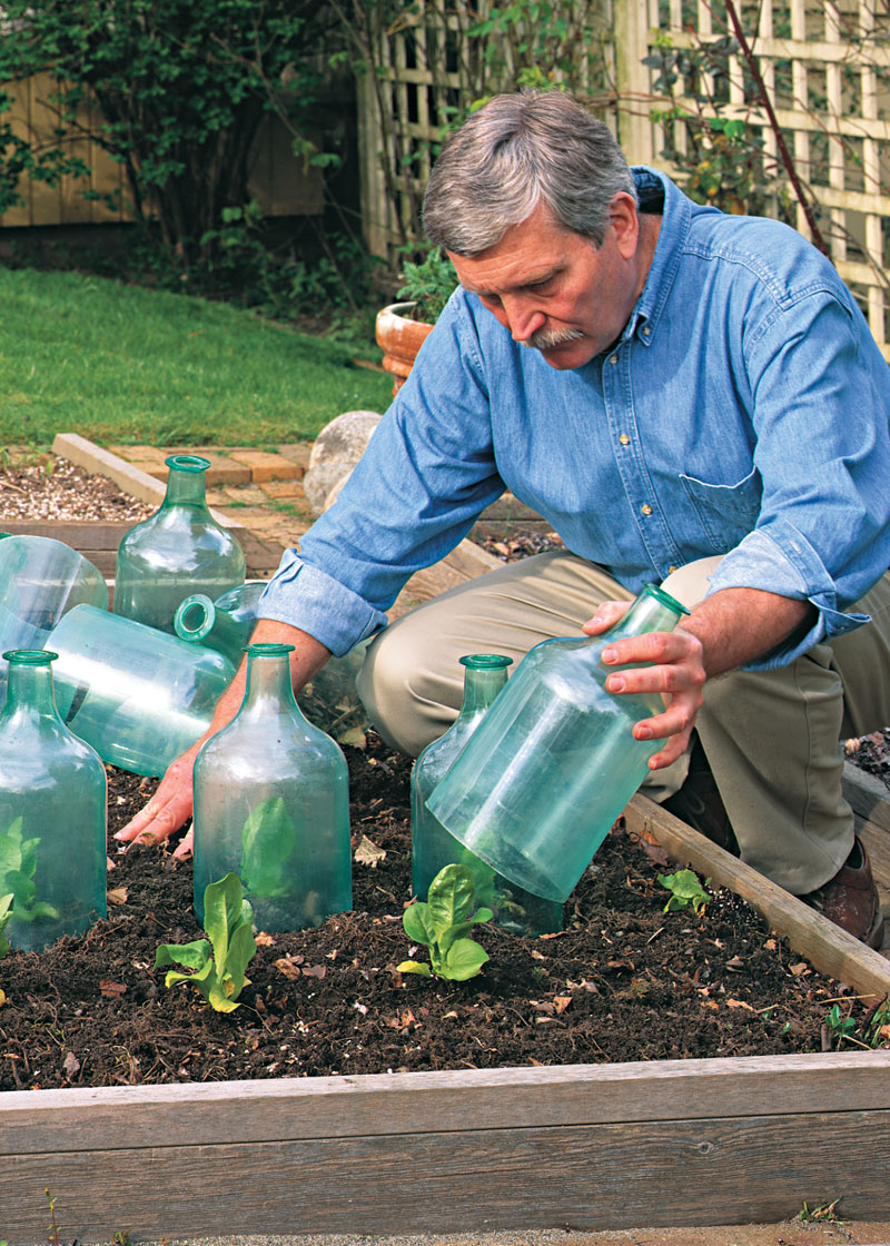 Get an Early Start for Your Spring Garden - FineGardening