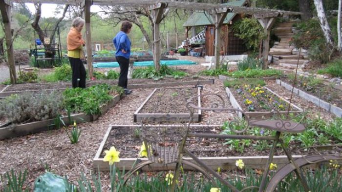 Renee Shepherd's Instagram, Twitter & Facebook on IDCrawl