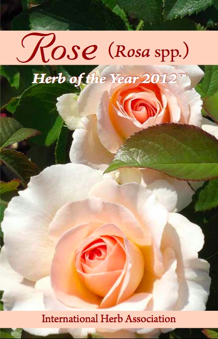 Rose, Herb of the Year 2012 - FineGardening