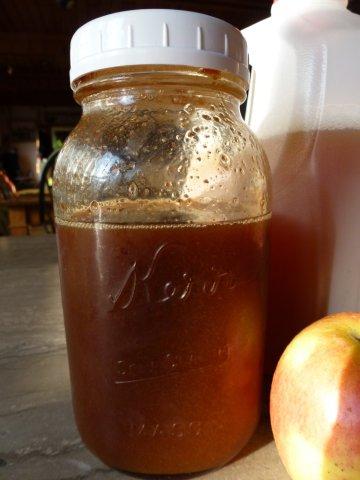 Apple Cider Rules! - FineGardening