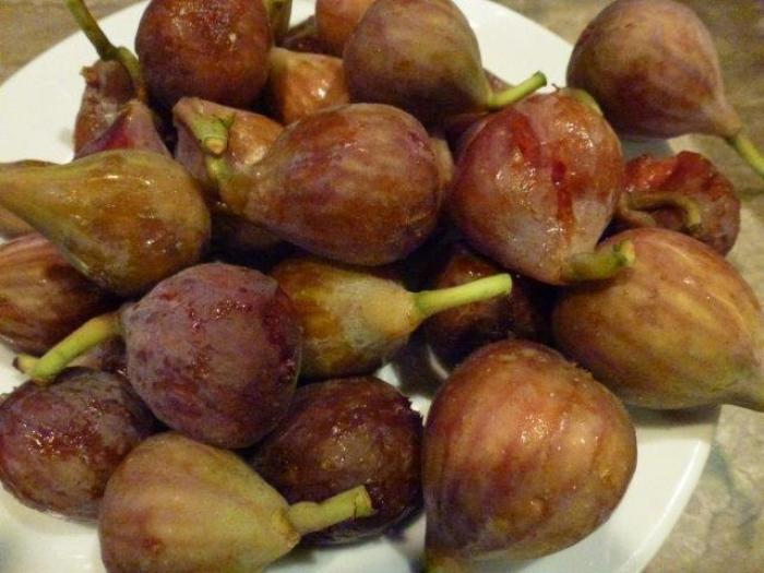 Figs in Fall - FineGardening