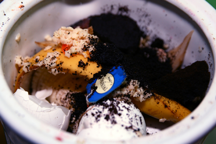 3 Ways I Use Kitchen Scraps to Reduce Food Waste - FineGardening