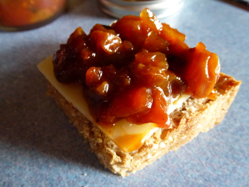 Tomato-Raisin Chutney - Fine Gardening