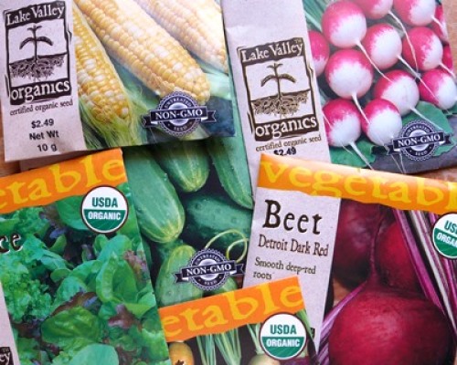 What Vegetable Gardeners Need to Know About GMO Seeds - Fine Gardening