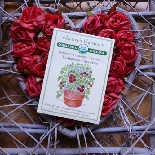 Chocolate Tomatoes are a Sweet Garden Surprise - FineGardening