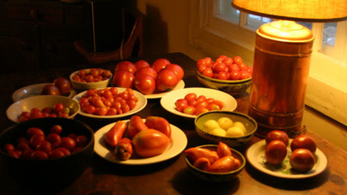 Tomato Trivia, Your Health, And George Clooney - Fine Gardening