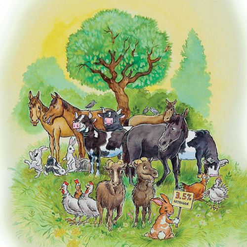 How to Use Manure to Fertilize Your Garden - Fine Gardening