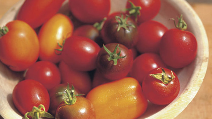 The Road to Healthy, Productive Tomatoes - Fine Gardening