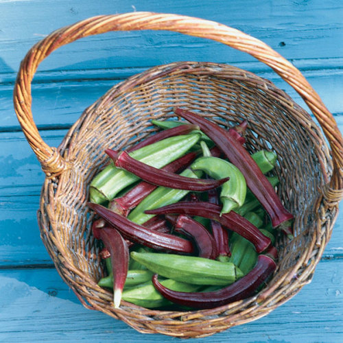 Okra Grows Up North - Fine Gardening