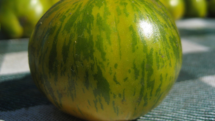 Make Room for 'Moon and Stars' and 'Golden Midget' Watermelon ...
