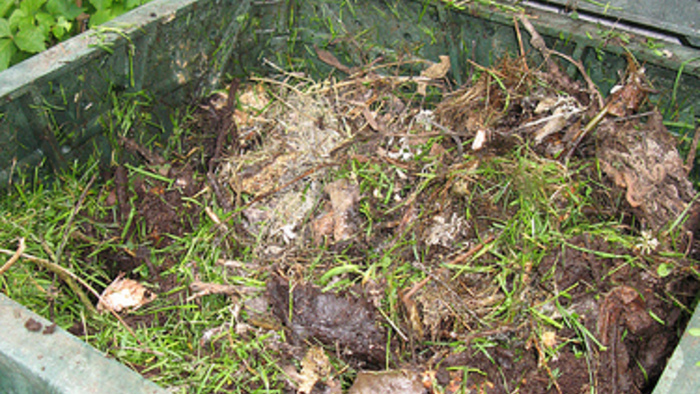 Critters in Your Compost? - Fine Gardening