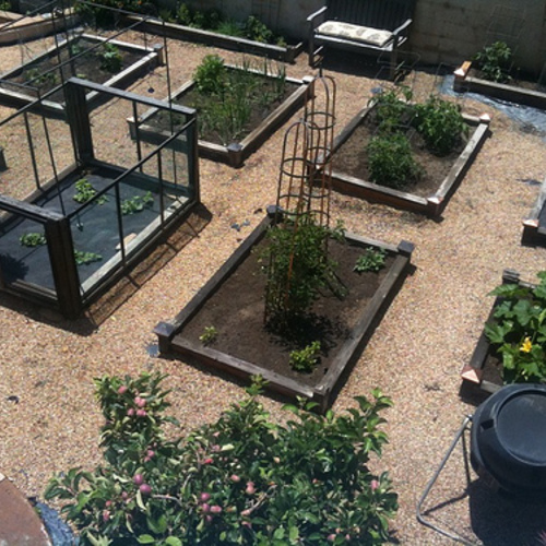 Crop Rotation Technique #1: Rotating Plant Families - Fine Gardening