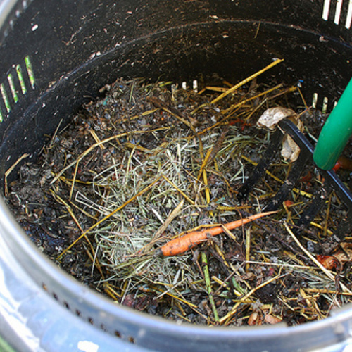 Top Composting Myths Debunked - Fine Gardening