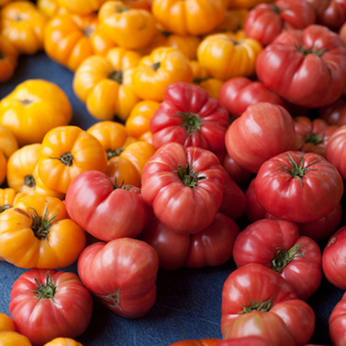 Fantastic-Tasting Pink Heirloom Tomatoes - Fine Gardening