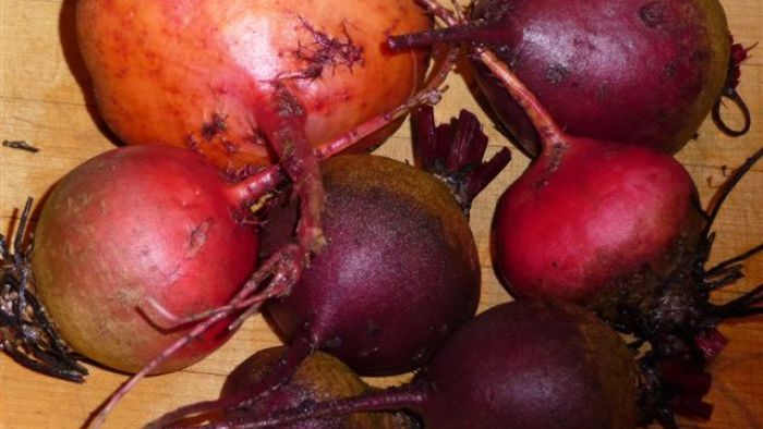 Pretty Pickled Beets - Fine Gardening