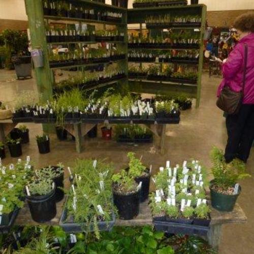 Take the Time to Attend Local Garden Events - Fine Gardening