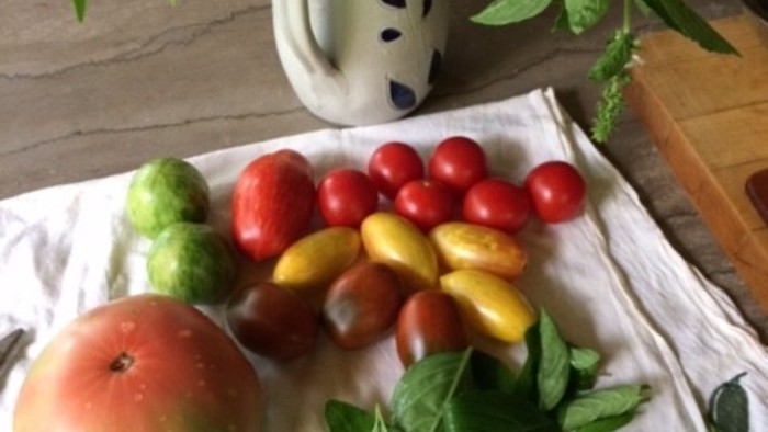 Tomato-Raisin Chutney - Fine Gardening