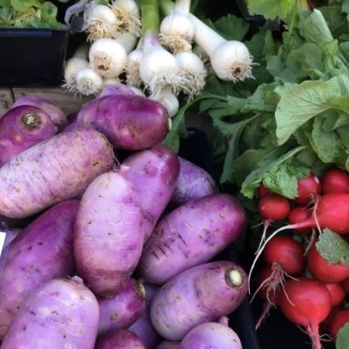 Summer Solstice: Time for Farmers' Markets, Gardening, Seasonal Bounty ...