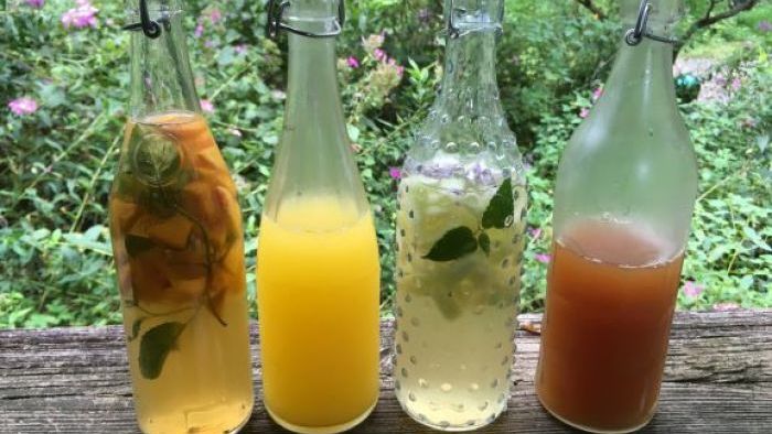 Botanical Waters (Aguas Frescas): Celebrate the Season with Flavorful ...