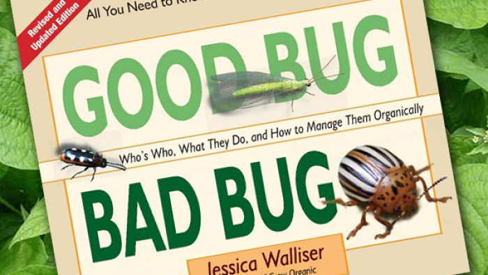 Book Review: Texas Bug Book: The Good, the Bad, and the Ugly - Fine ...