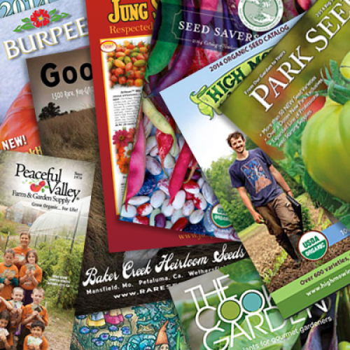 Gardeners, Start Your Seed Search! (Updated) - Fine Gardening