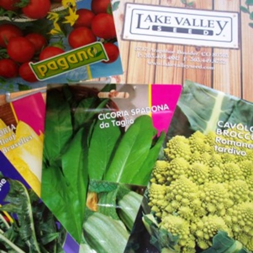 Lake Valley Seed: Now That's Italian! - Fine Gardening
